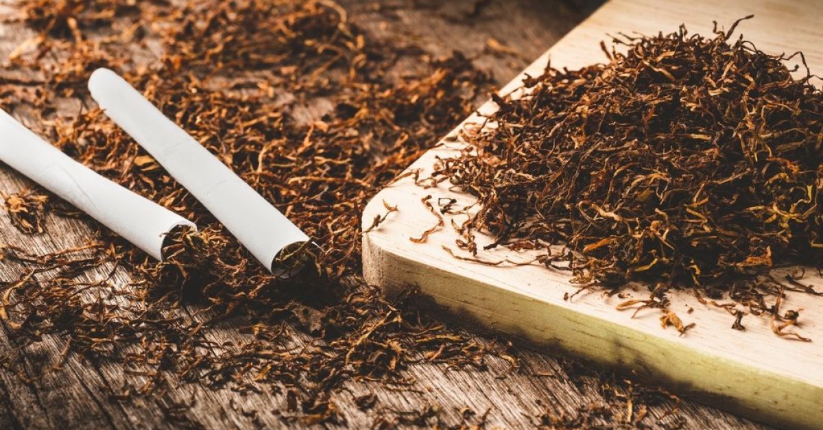 SHAG NEBOLI ŘEZANÝ TABÁK