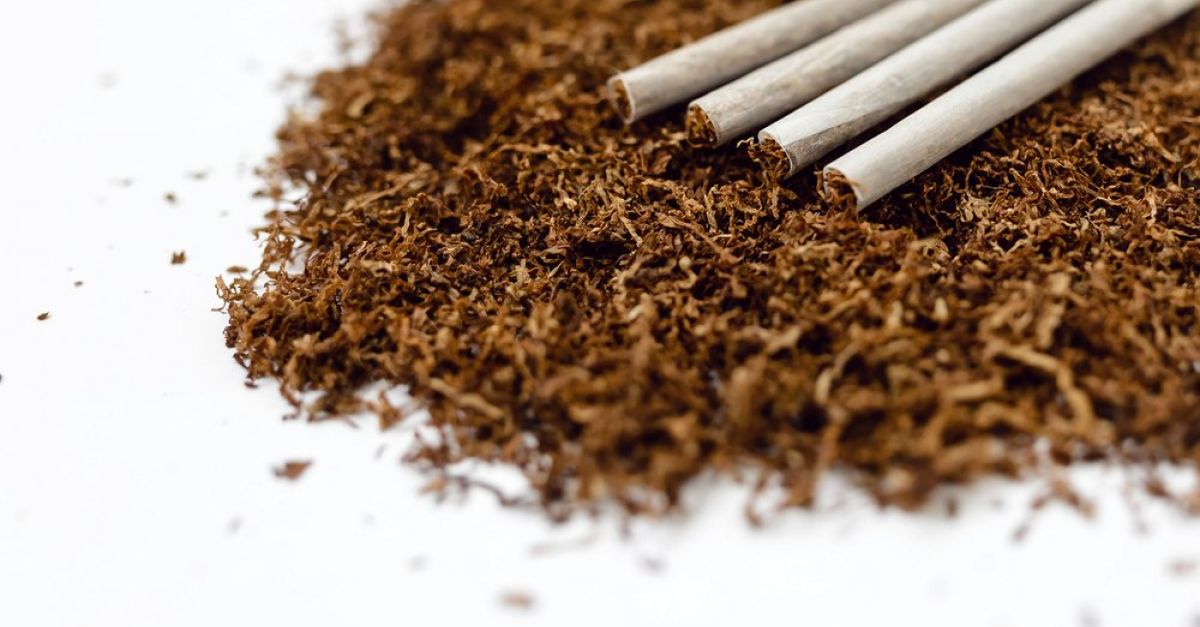 JAK USPĚT V BALENÍ CIGARET